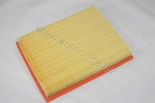 09117557,GM 09117557 Air Filter for GM