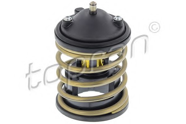 11518512234,BMW 11518512234 Thermostat, coolant for BMW