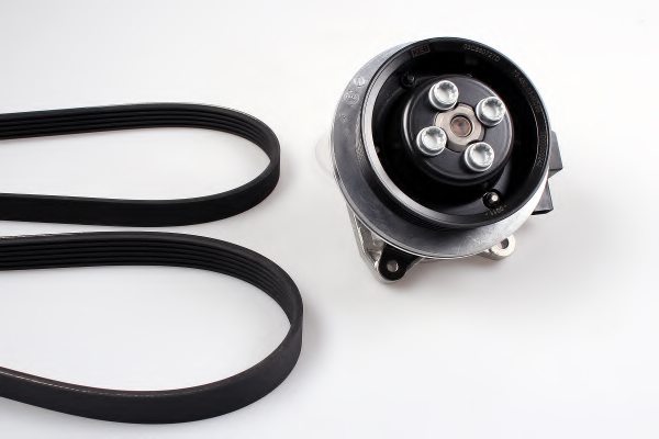 03C121004JX,AUDI 03C121004JX Water Pump + V-Ribbed Belt Kit for AUDI ...